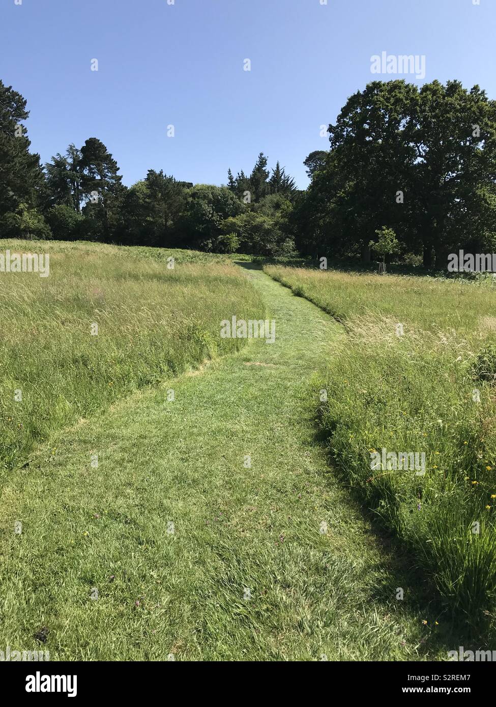 Field path hi-res stock photography and images - Alamy