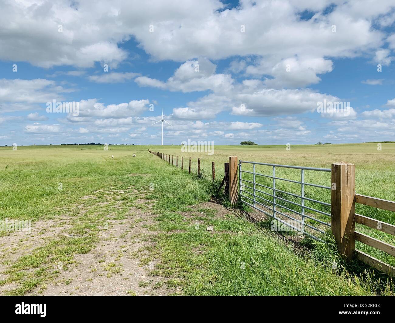 Summer farm hi-res stock photography and images - Alamy