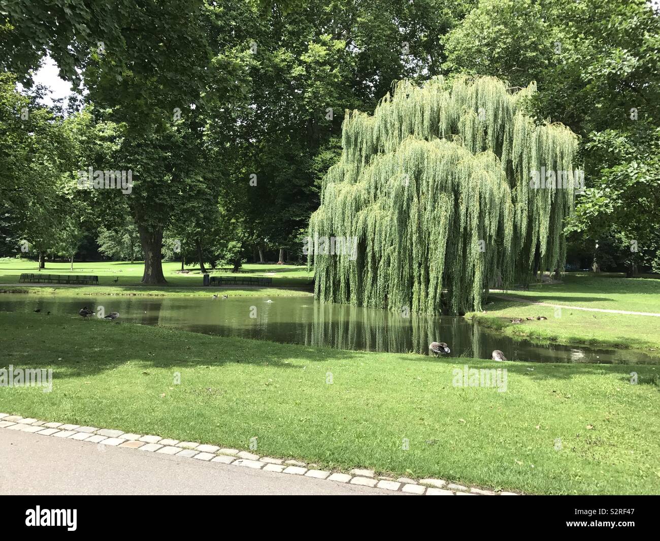 Grow view hi-res stock photography and images - Alamy