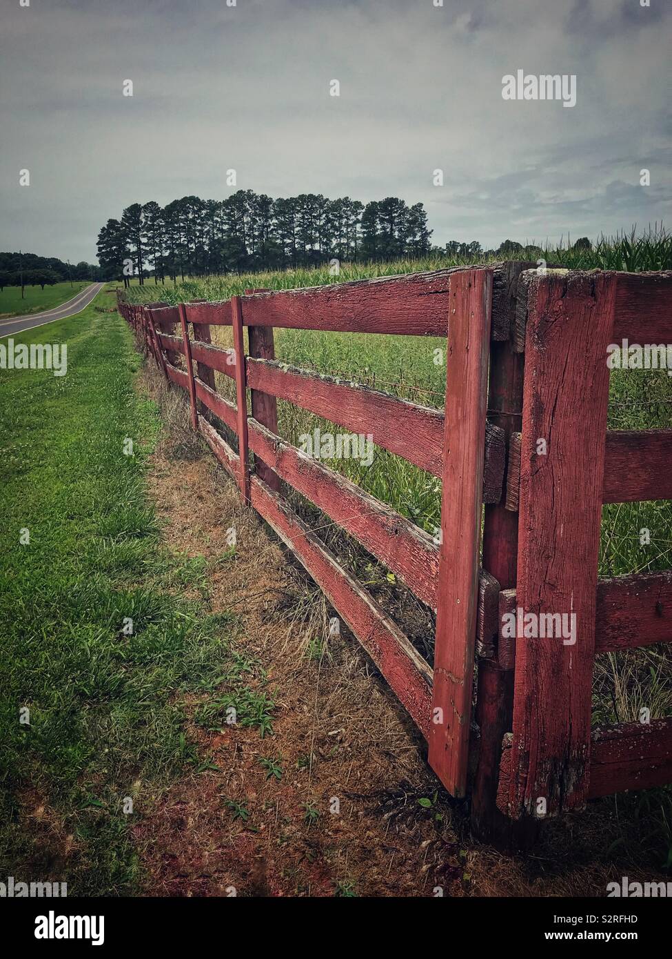 Red wooden fence down North Carolina corn field on a summer afternoon ...