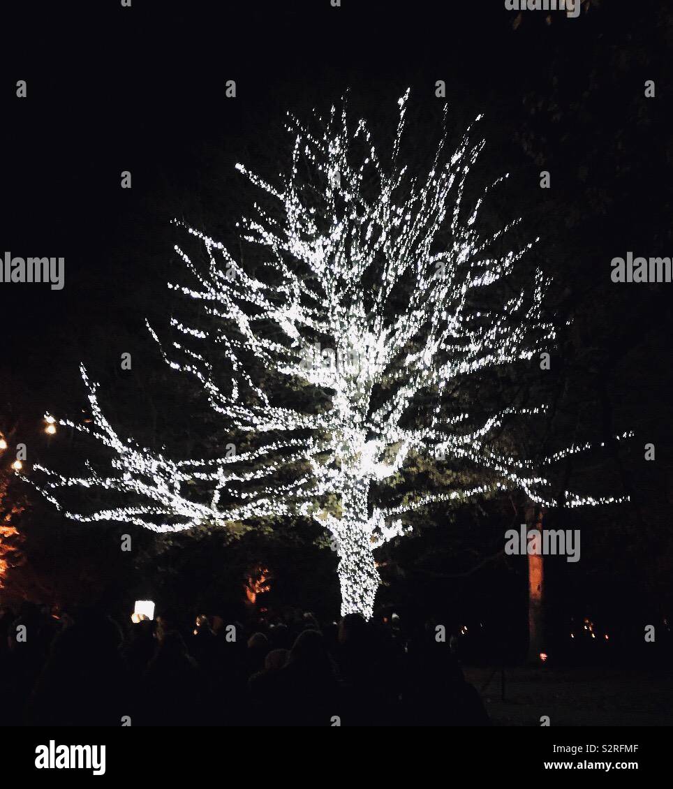 Sparkly tree hi-res stock photography and images - Alamy