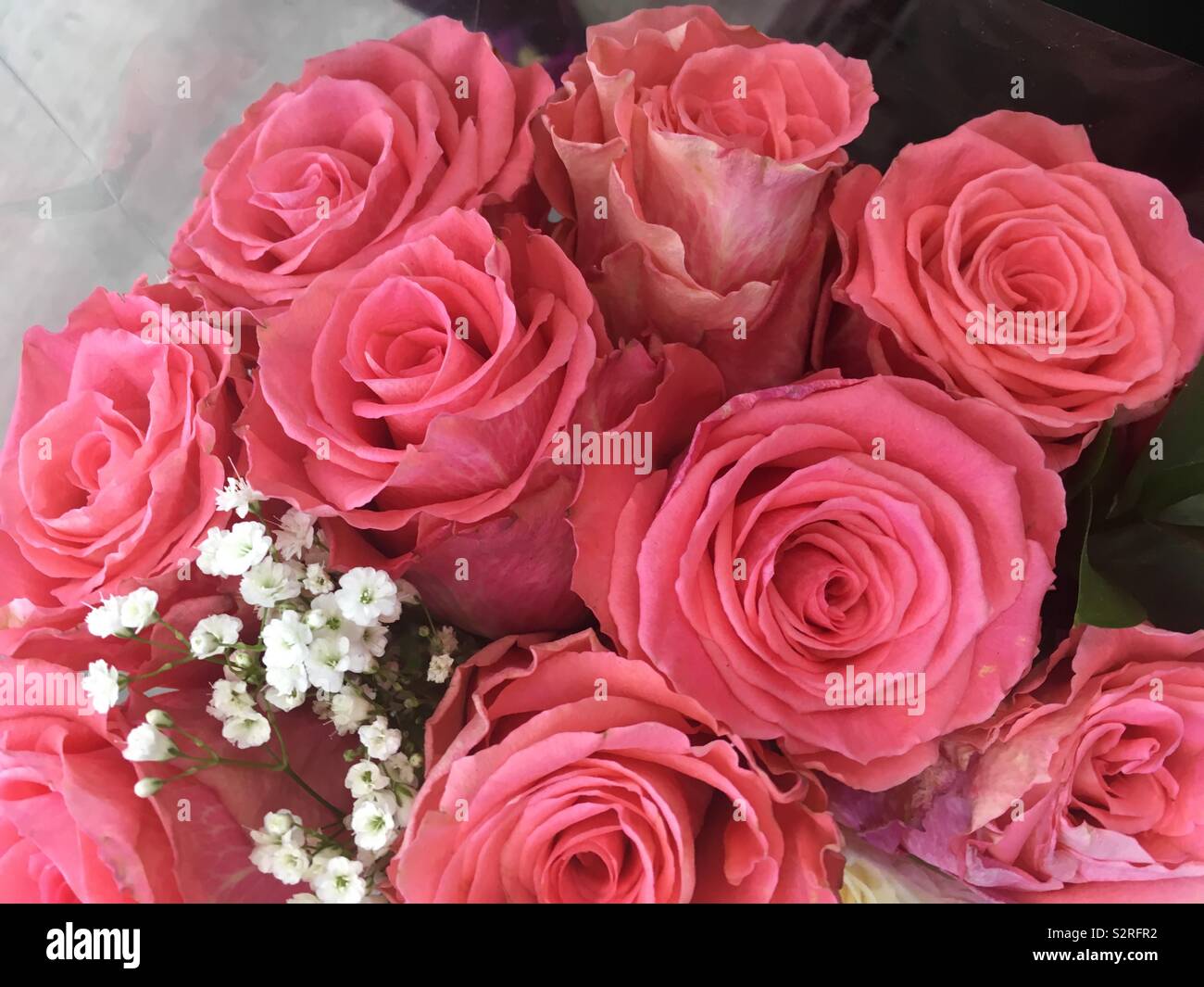 Pink roses baby hi-res stock photography and images - Alamy
