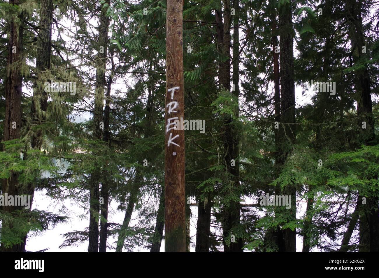 Trees trek hi-res stock photography and images - Alamy