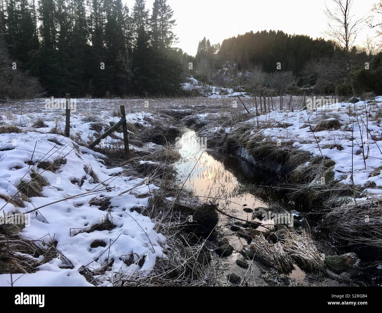 Stream in field hi-res stock photography and images - Alamy