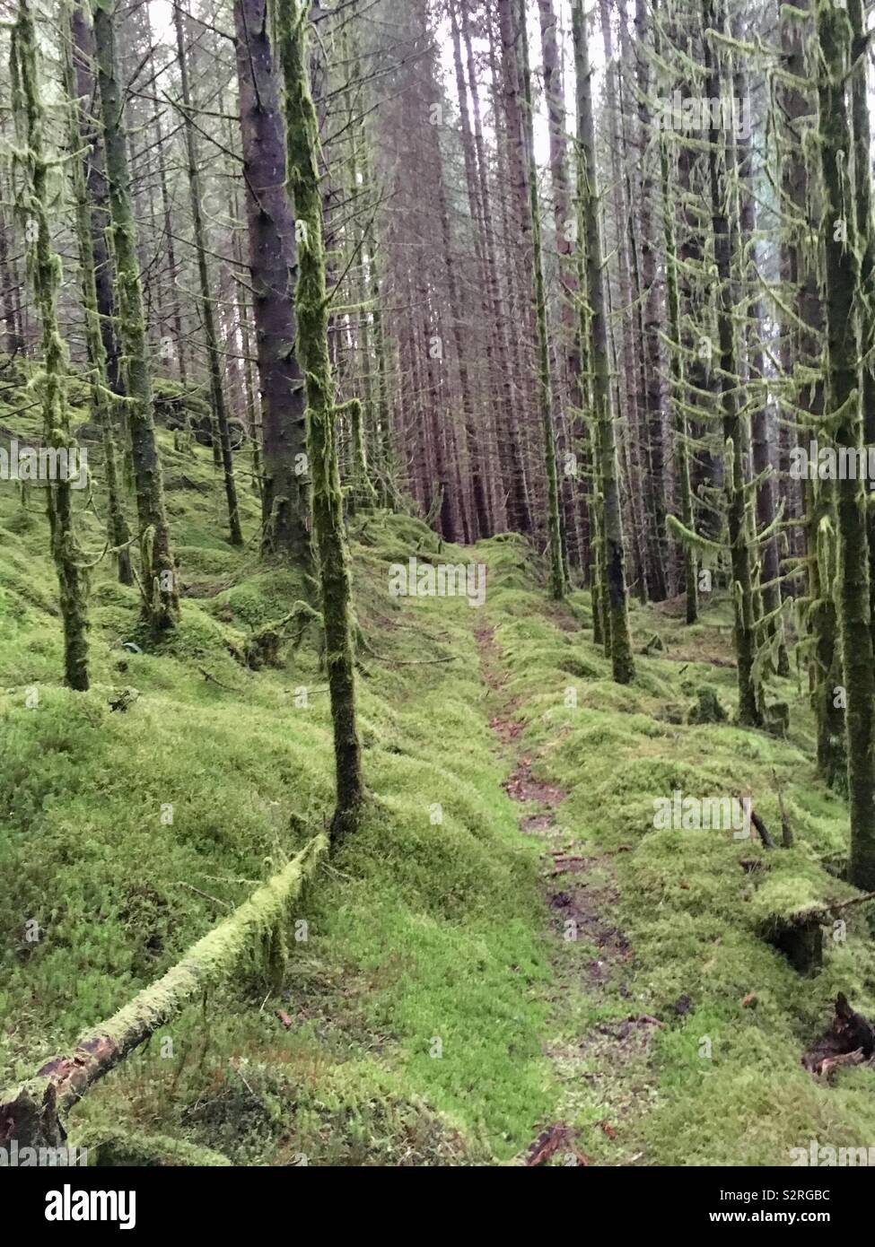 Following a path hi-res stock photography and images - Alamy