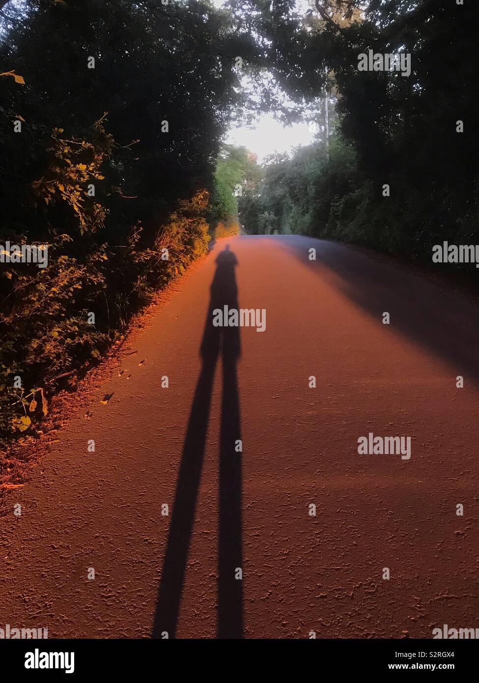 Shadow of a man Stock Photo - Alamy