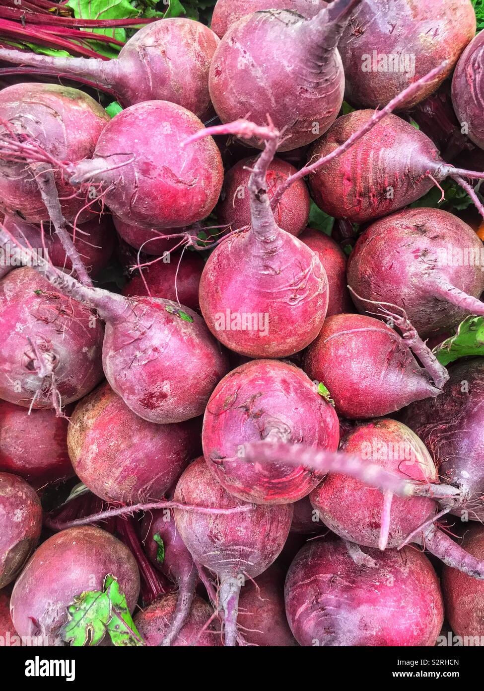 Farm fresh delicious red beets Stock Photo - Alamy