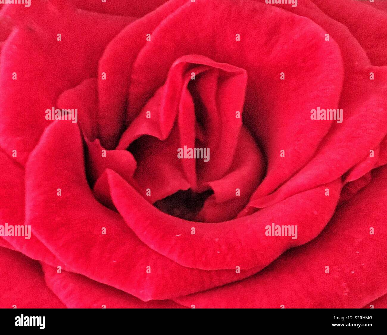 Different red hi-res stock photography and images - Alamy