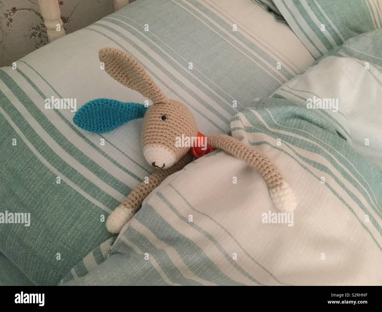 Tired rabbit hi-res stock photography and images - Alamy