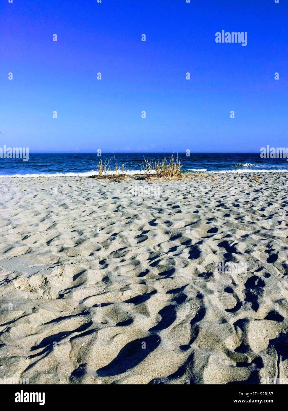 Beautiful Palmcoast Florida sandy beach Stock Photo - Alamy