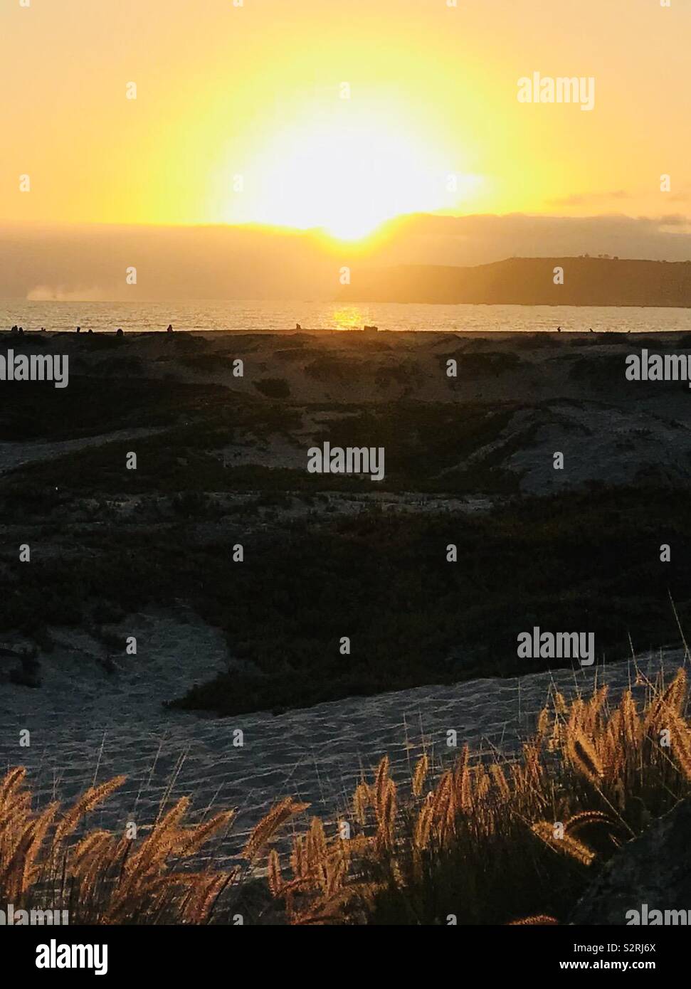 Coronado island beach hi-res stock photography and images - Alamy
