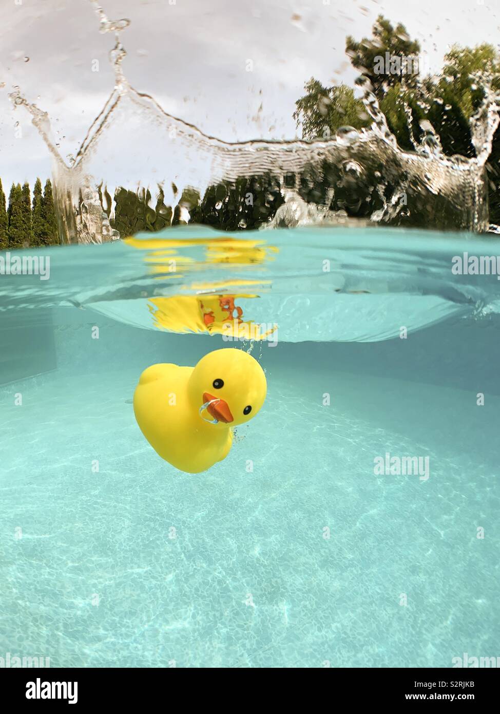 Rubber duck water hi-res stock photography and images - Alamy