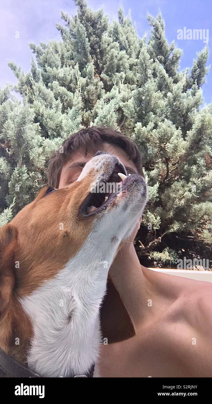 Dog photobombing selfie Stock Photo - Alamy