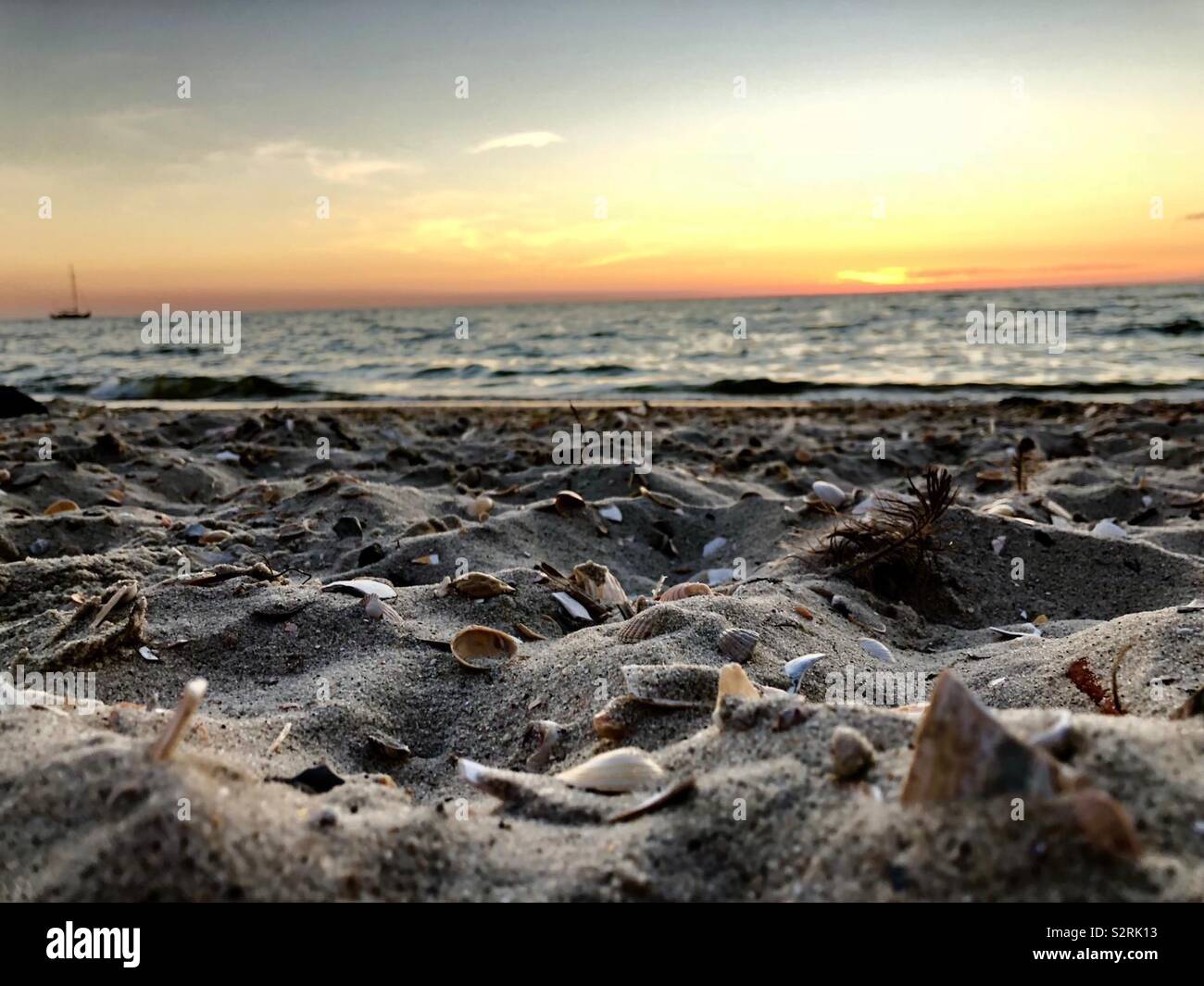 Strand muscheln hi-res stock photography and images - Alamy