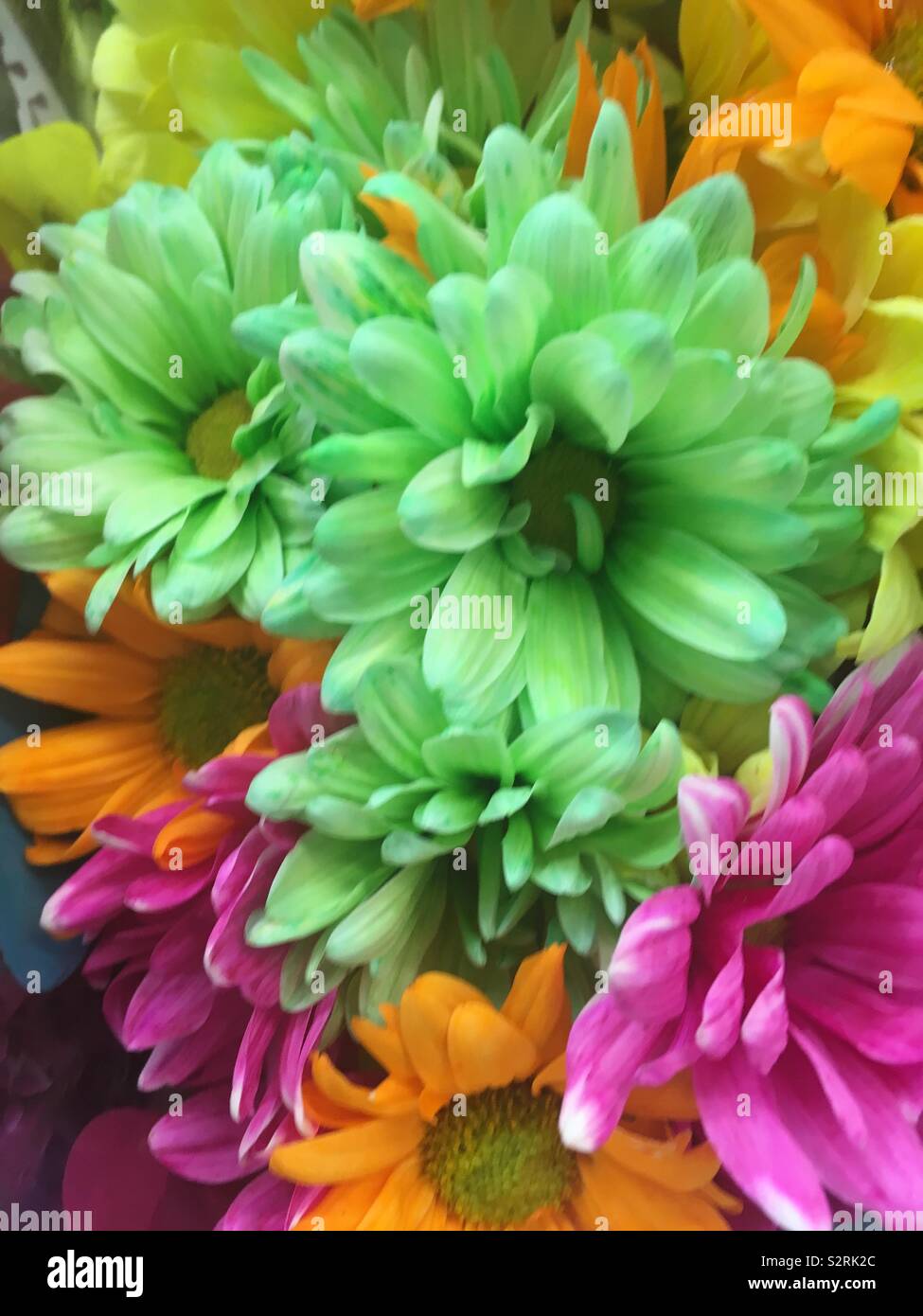 Green color flowers hi-res stock photography and images - Alamy