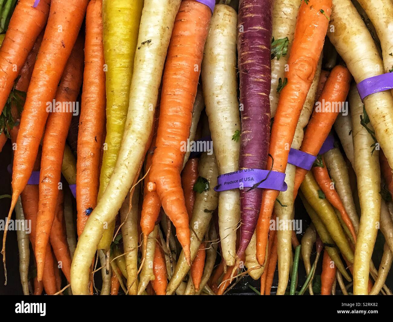 Fresh delicious carrots in a rainbow of colors including purple, orange ...