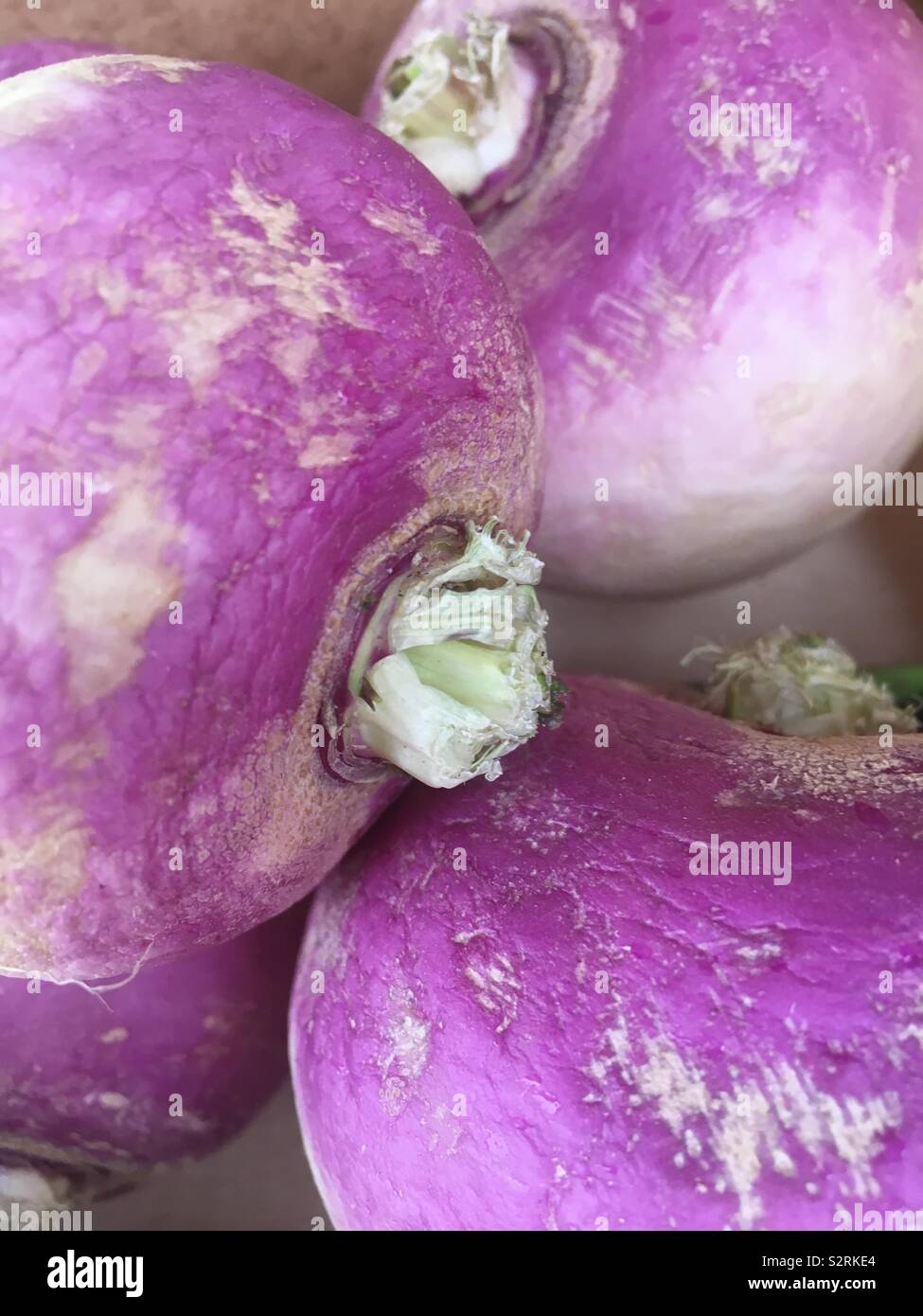 Purple coloured turnips Stock Photo - Alamy