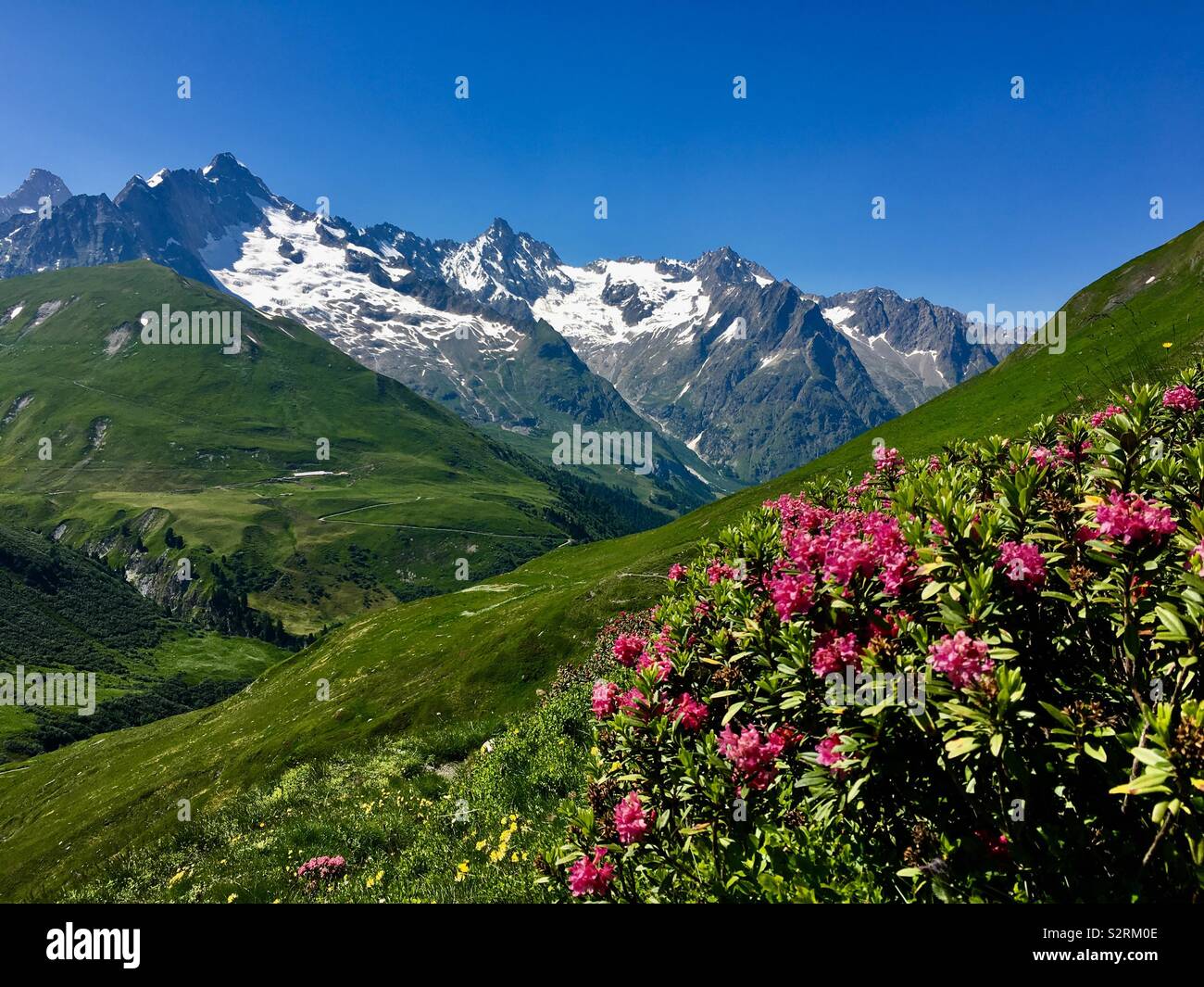 The val ferret hi-res stock photography and images - Alamy