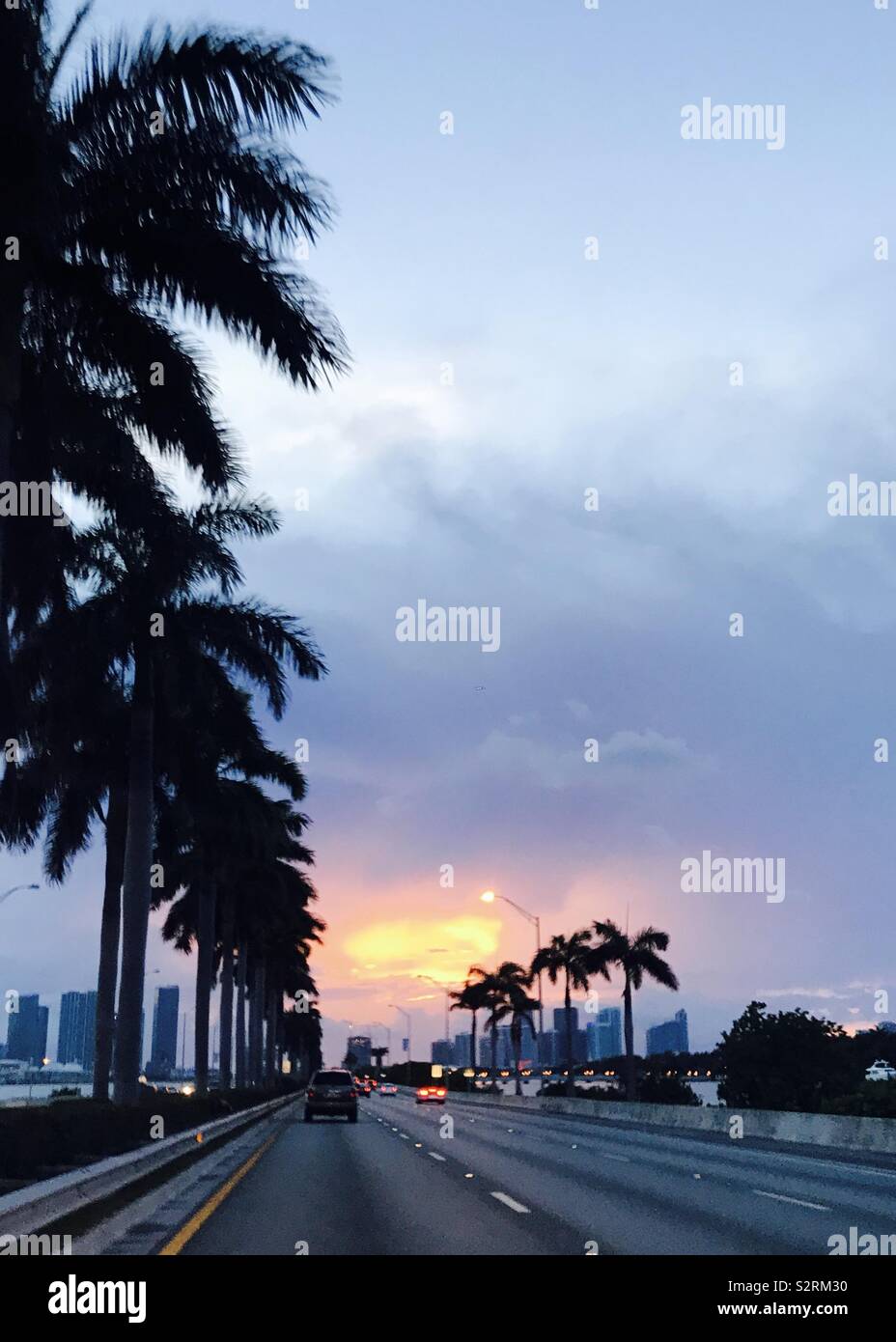 Beach sunset palm tree hi-res stock photography and images - Alamy