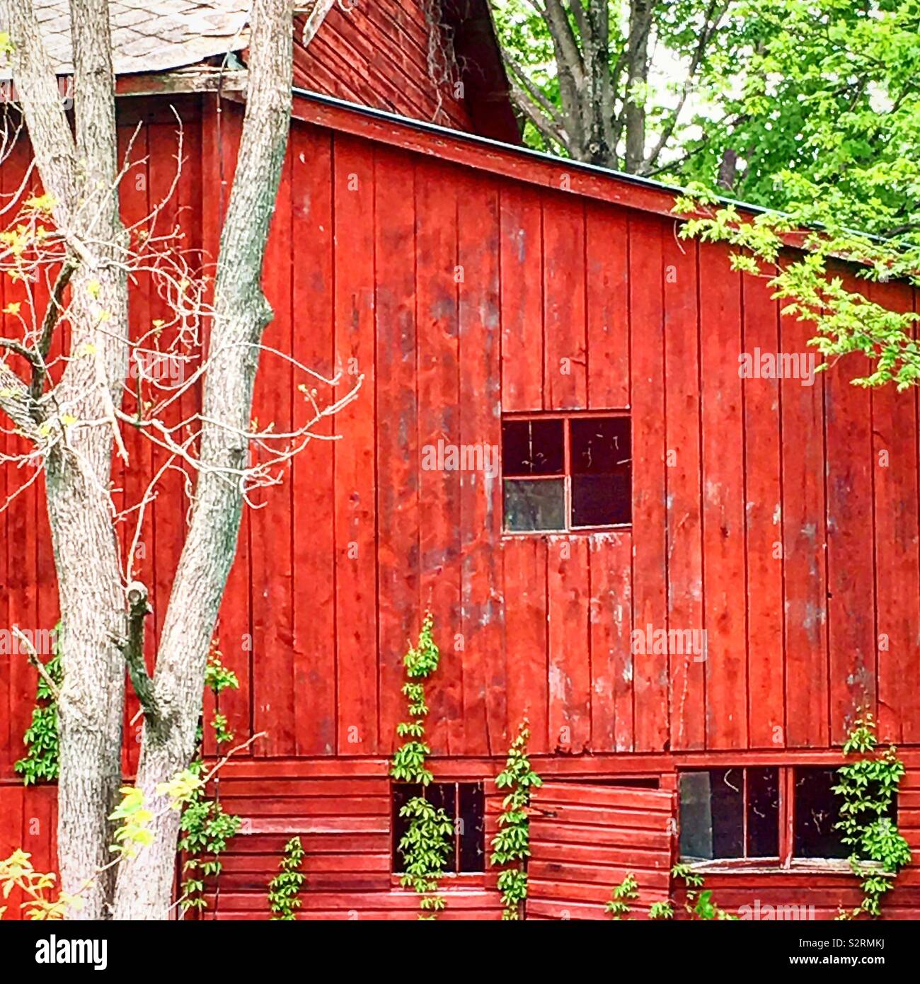 Barn with trees hi-res stock photography and images - Alamy