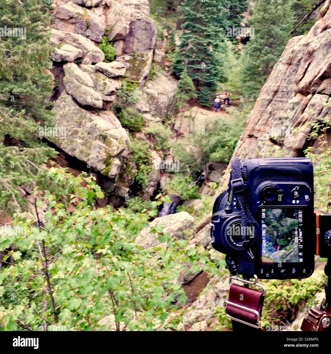 Maxwell falls hi-res stock photography and images - Alamy