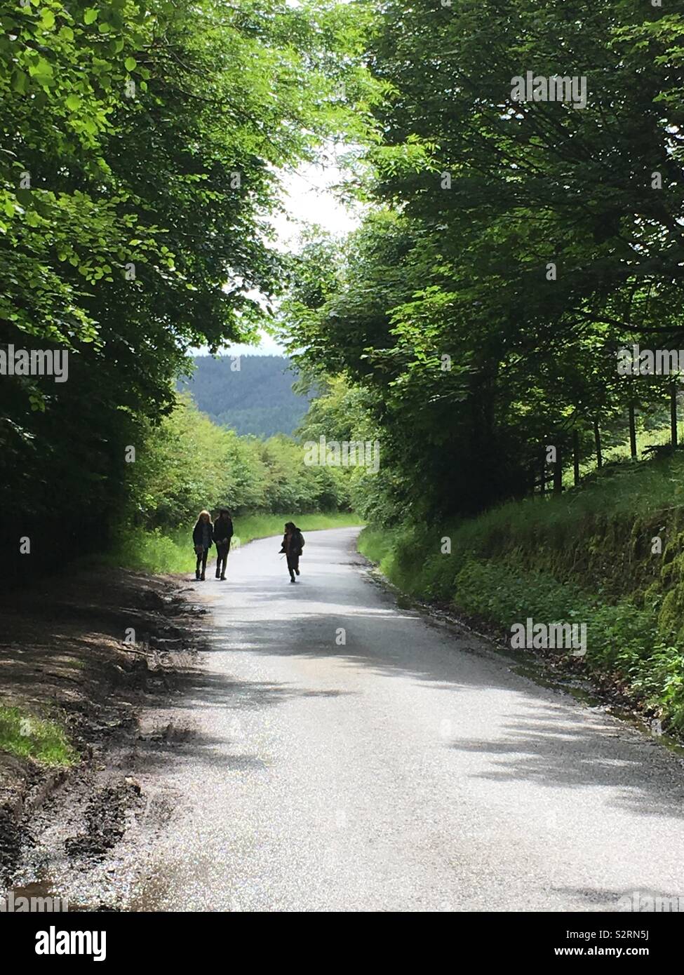 In the british countryside hi-res stock photography and images - Alamy