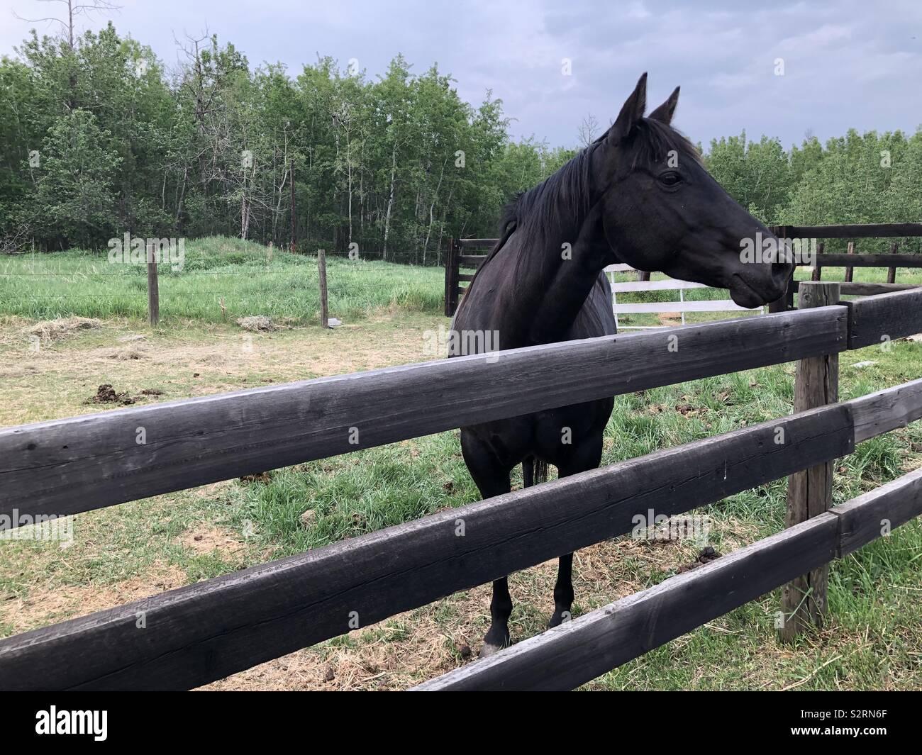 Horse Corral High Resolution Stock Photography and Images - Alamy