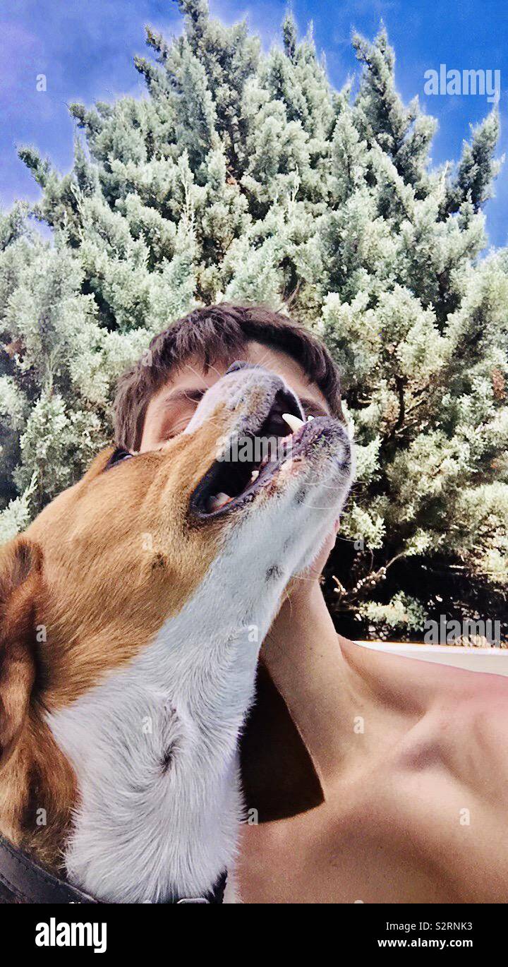Epic Photobomb Dog