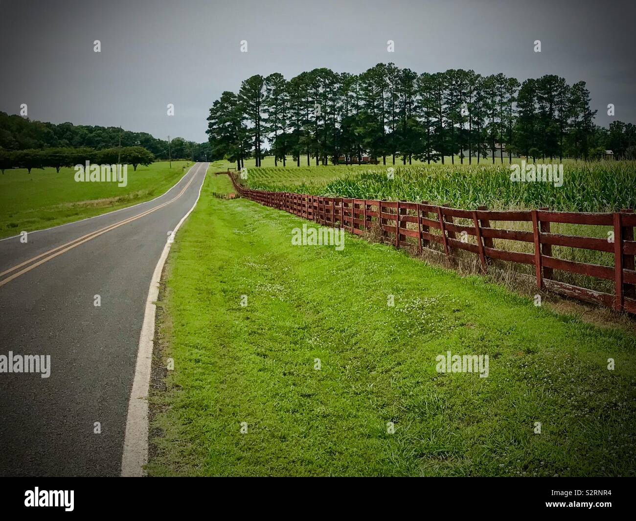 Red fence by green corn field on NC afternoon Stock Photo - Alamy