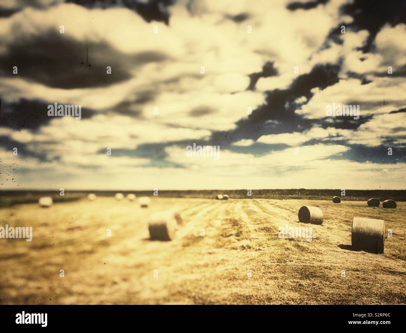 Round bails in a field hi-res stock photography and images - Alamy