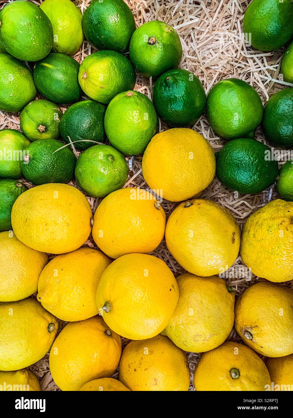 Lemon and limes Stock Photo - Alamy