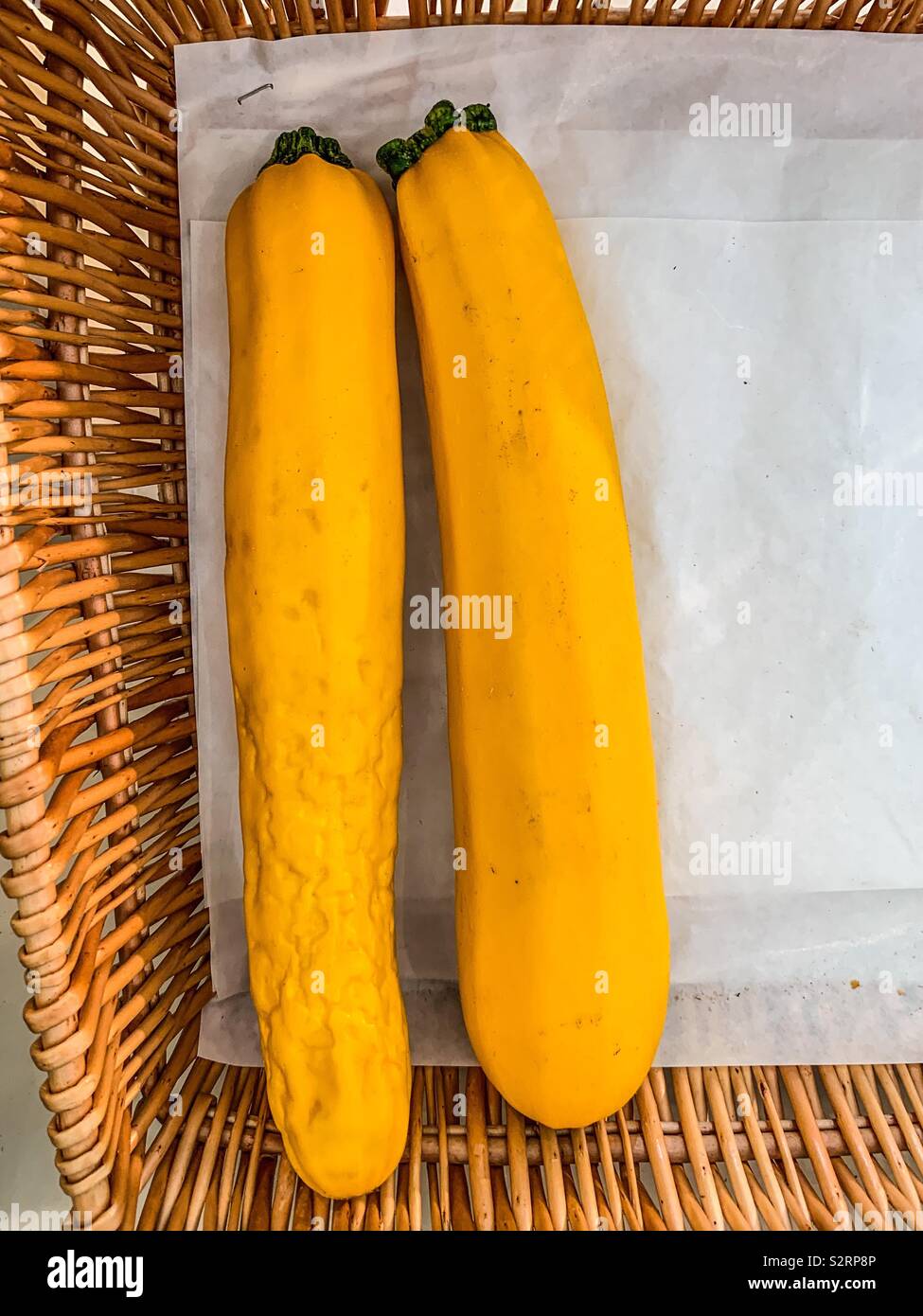 Courgette yellow hi-res stock photography and images - Alamy