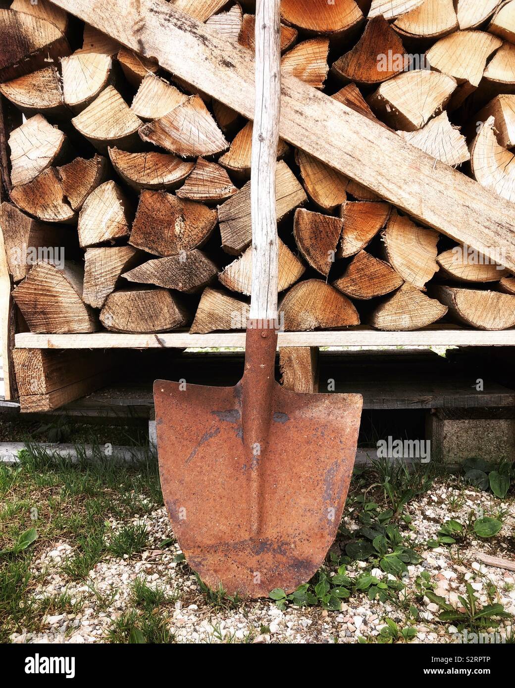 Shovel in pine harvesting pit, Asiago, Italy, July 2019 Stock Photo - Alamy