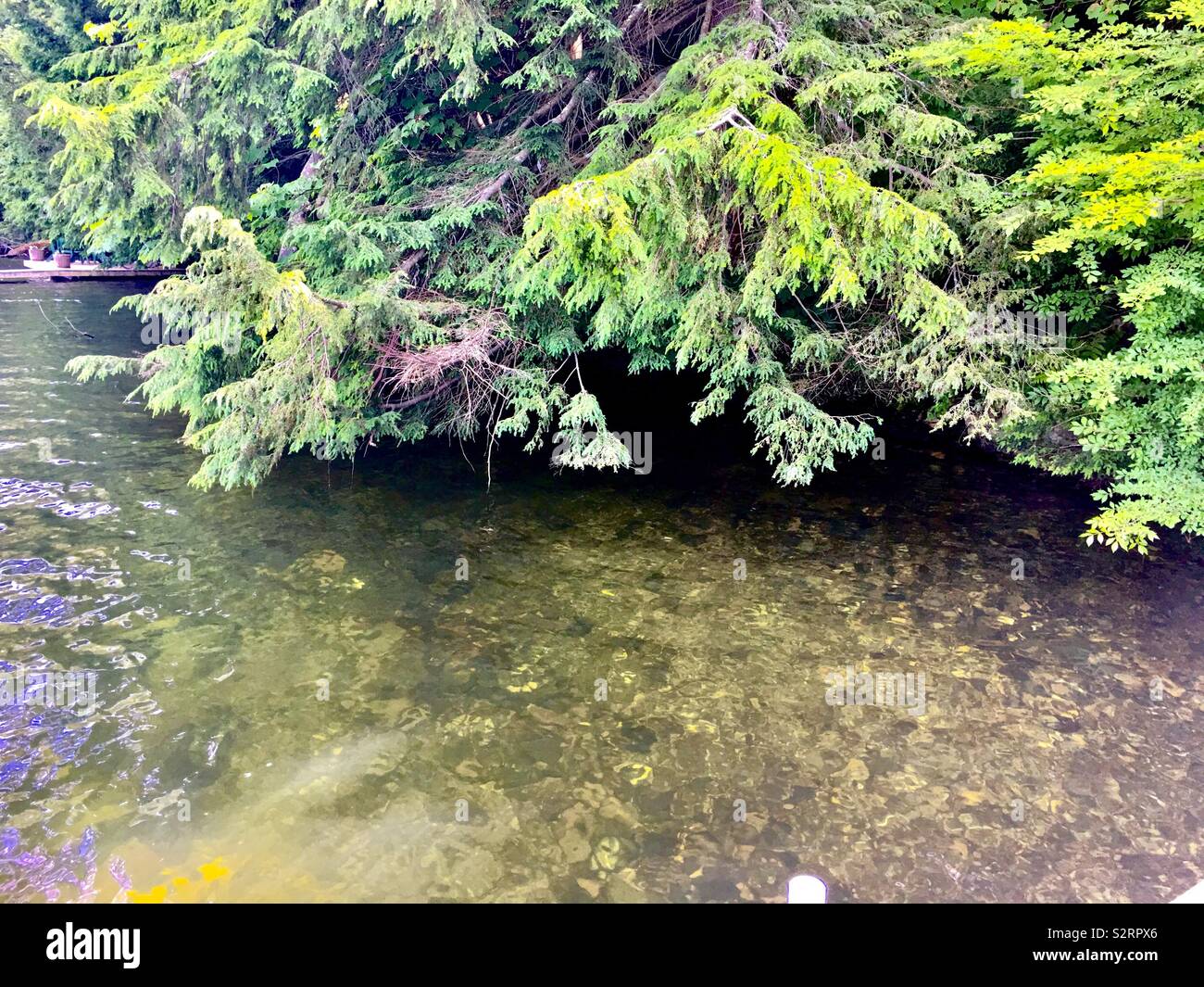 Clear water with rocks underneath hi-res stock photography and images ...