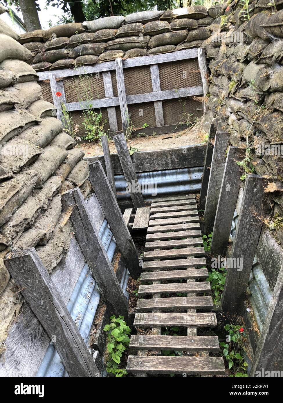 The Trenches Poppy High Resolution Stock Photography and Images - Alamy
