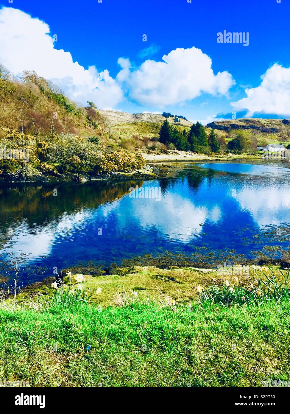 Tranquility on the Isle of Seil in Scotland Stock Photo - Alamy
