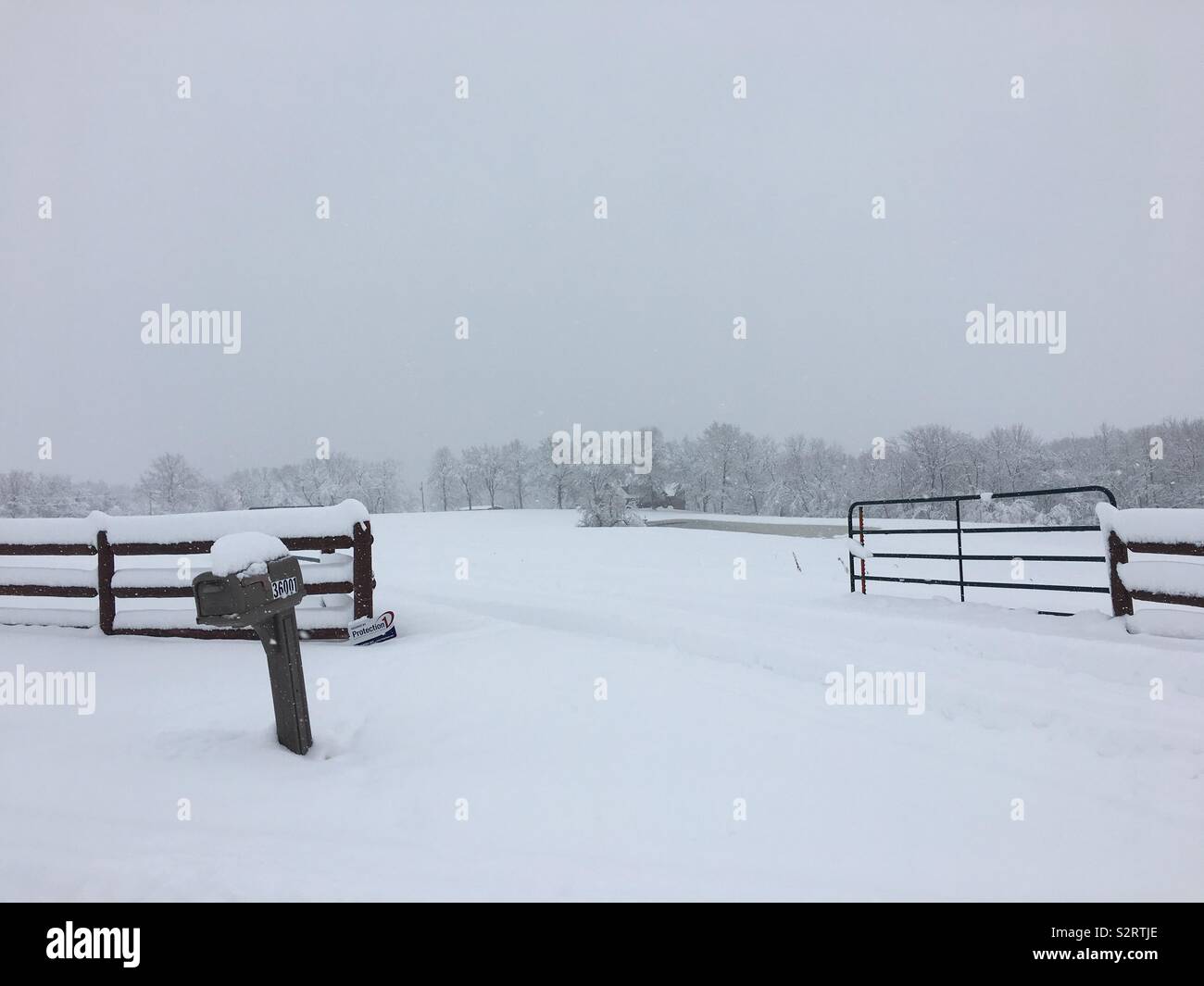 Frost covered gate hi-res stock photography and images - Alamy