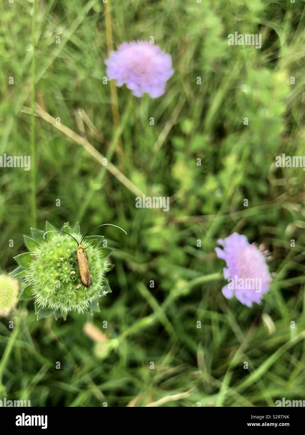 Just hanging around Stock Photo - Alamy