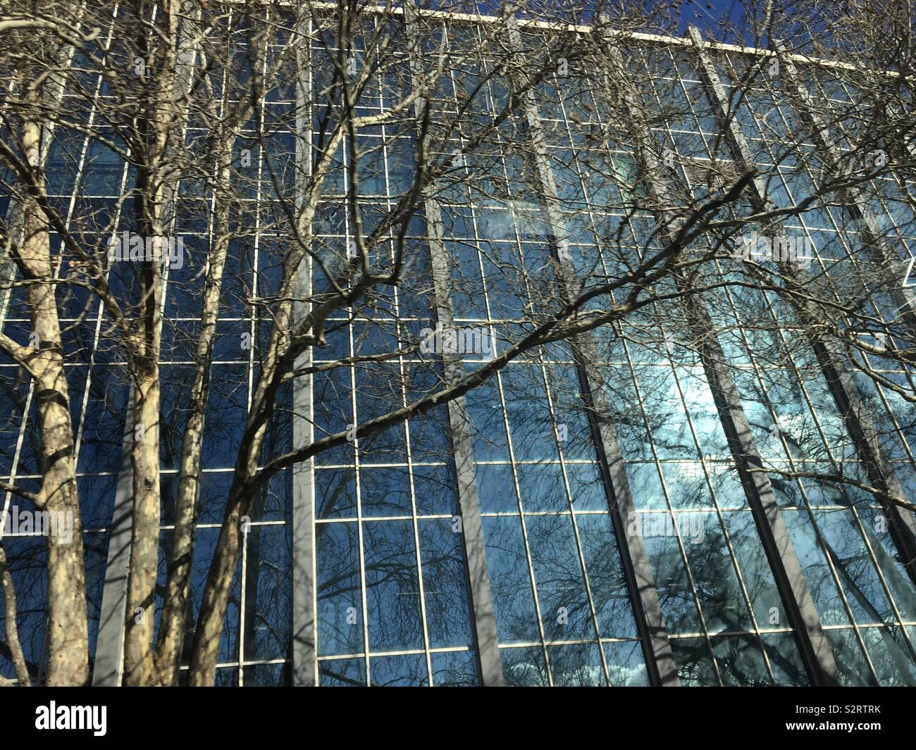 Office with view of tall buildings hi-res stock photography and images ...