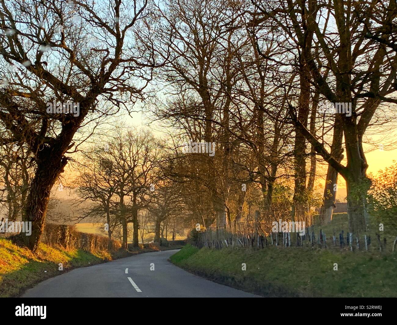 British springtime hi-res stock photography and images - Alamy