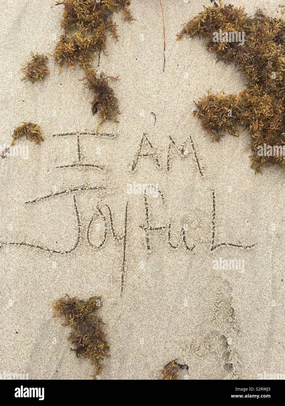 Joy message hi-res stock photography and images - Alamy