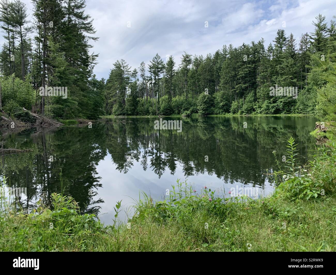 Stunning lake in the forest Stock Photo - Alamy