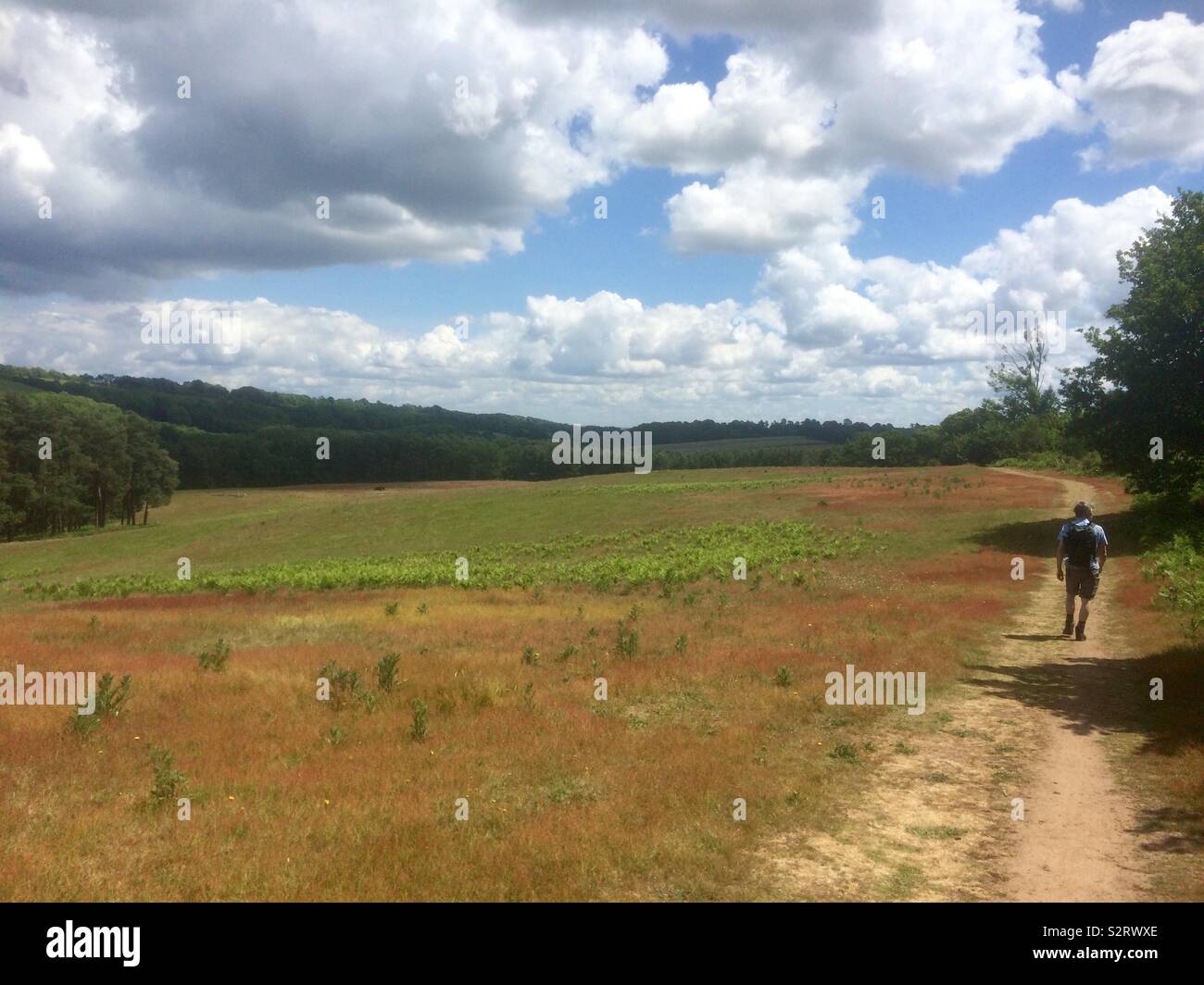 Walking the North Downs Way Stock Photo - Alamy