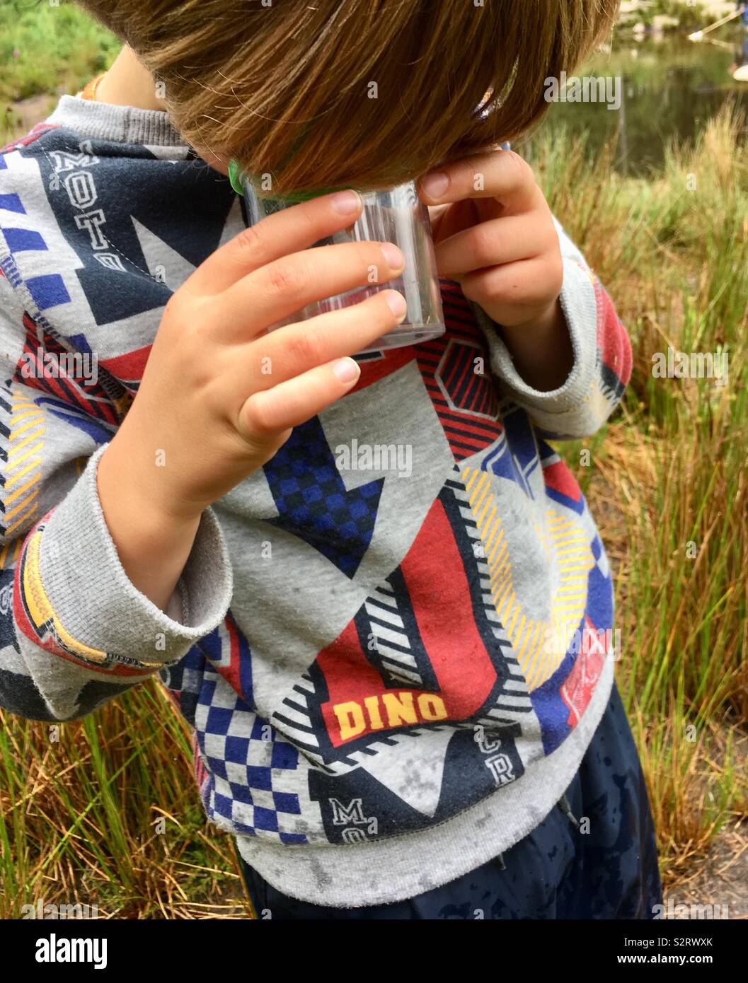 Mini beast hunt hi-res stock photography and images - Alamy