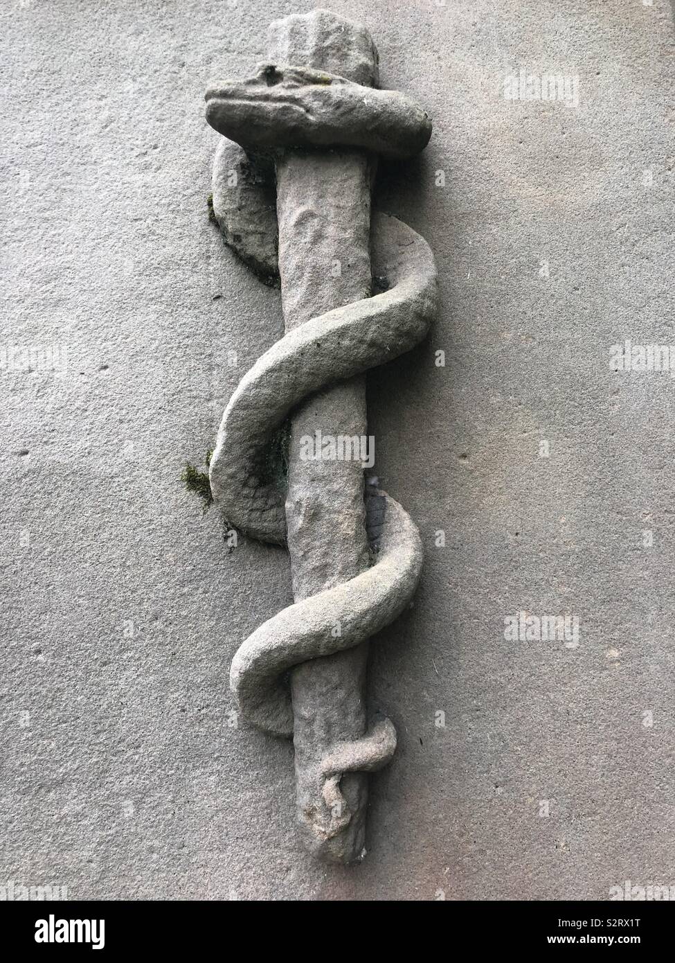 Sculpture snake hi-res stock photography and images - Alamy