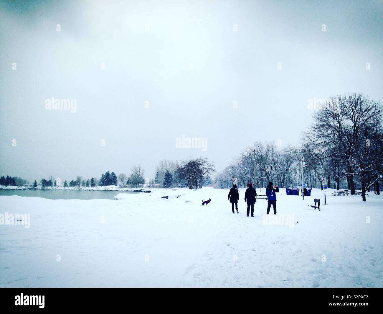 Scarborough Bluffs Winter High Resolution Stock Photography and Images ...