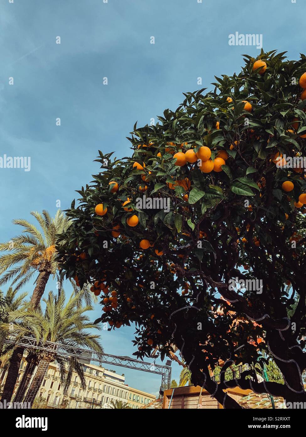 Oranges in france hi-res stock photography and images - Alamy