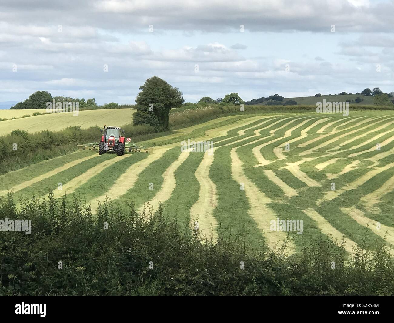 Silage fields hi-res stock photography and images - Alamy