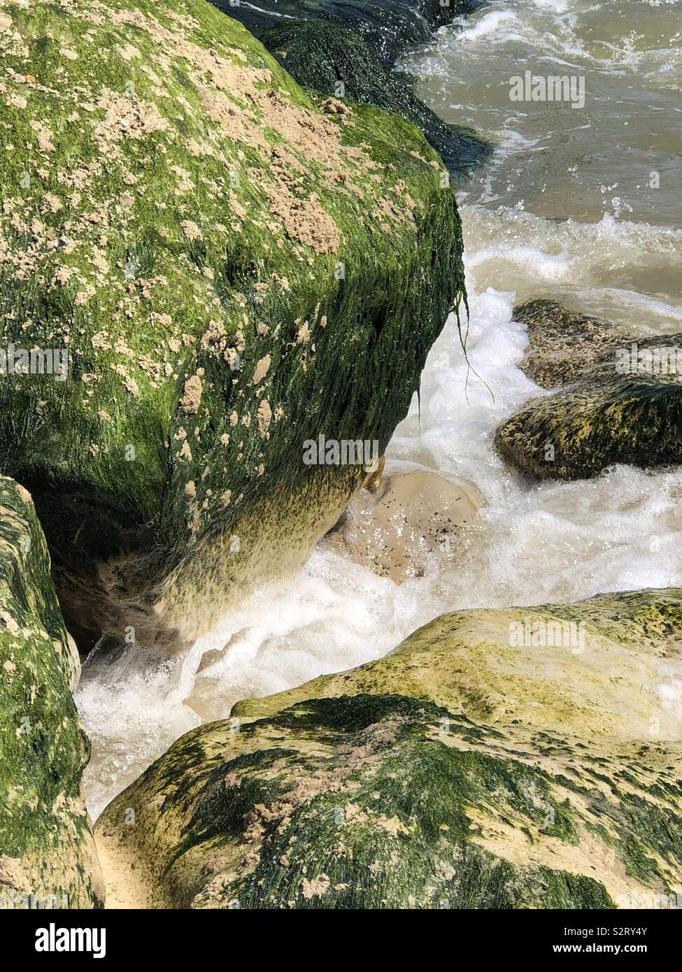 Sea between rocks covered with seaweed Stock Photo - Alamy