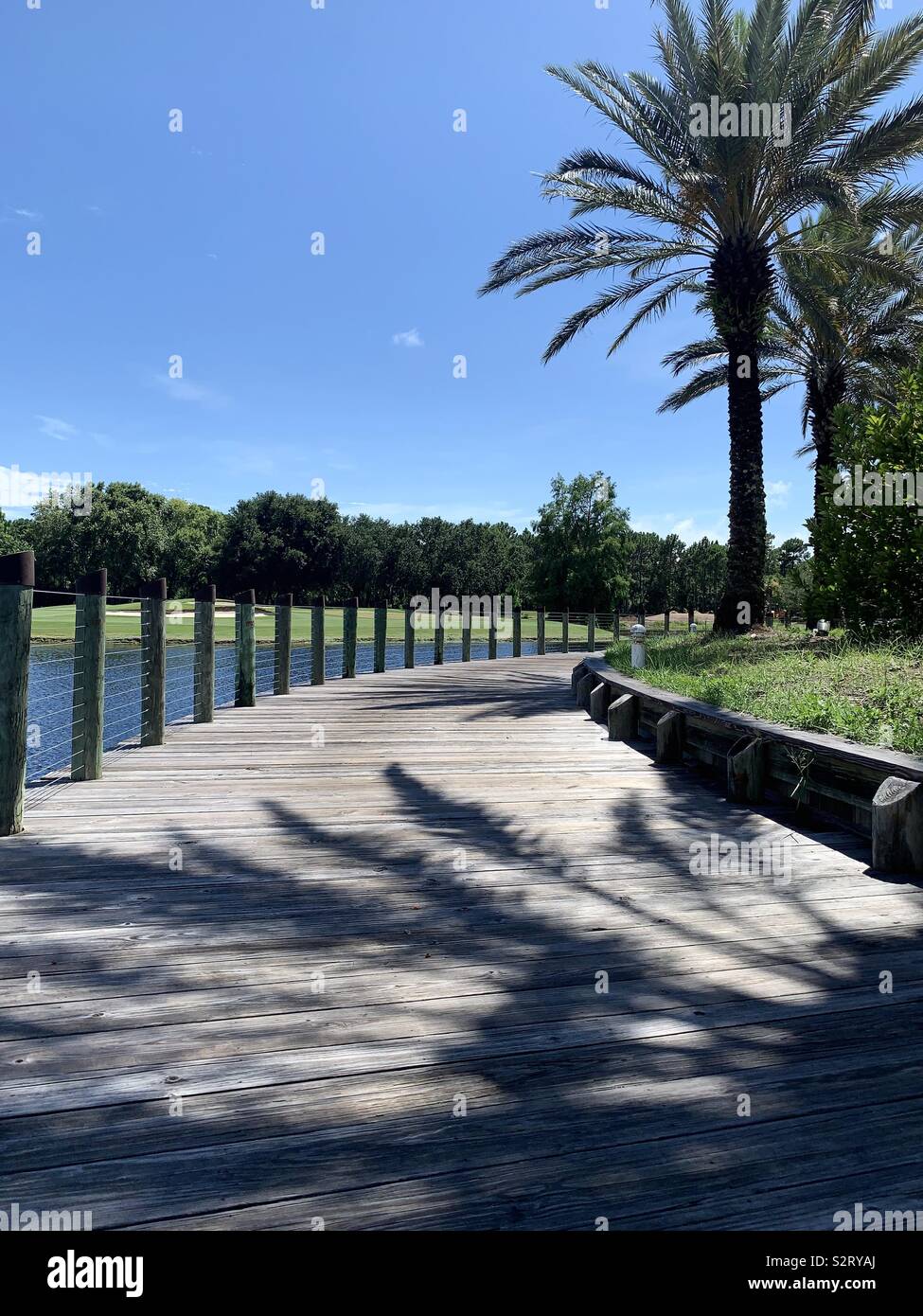 Bridge walkway with large shadows on the path from palm trees Stock ...